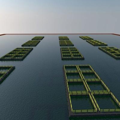 China Anti-Wind Wave Square Floating Fish Cage Deep Water Culture Net Cage for sale