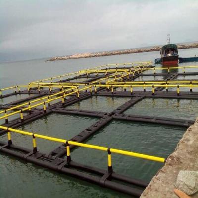 China High Strength Square Aquaculture Cage Floating Fish Farming Cage for sale