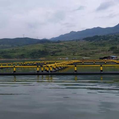 China New production technology released for 2026 fish cages, welcome to consult price for sale