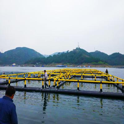 China Square HDPE Floating Fish Cage For River Sea Aquaculture for sale