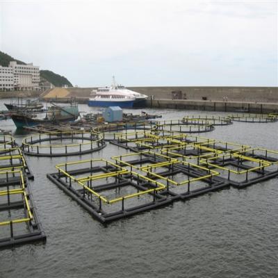 China Large Size Square Fish Farming Cage Commercial Aquaculture Net Cage for sale