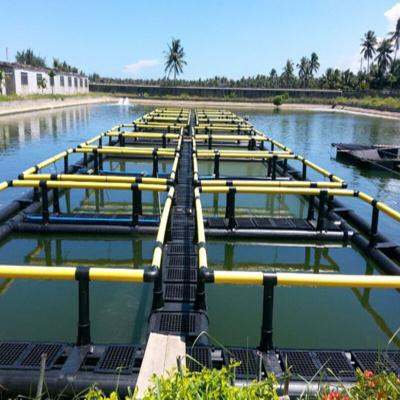 China Heavy Duty Square Floating Fish Cage Large Scale Commercial Aquaculture Net Cage Durable HDPE Material Anti Aging Fish Breeding Cage For Tilapia Catfish Culture In River Lake And Offshore Waters for sale