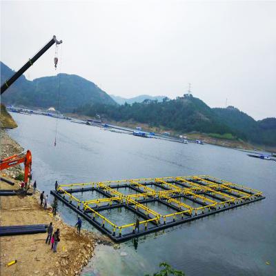 China Oversized Square Floating Fish Cage, Industrial Commercial Aquaculture Net Cage, High Strength HDPE Cage for Tilapia Breeding with Anti-Bird and Anti-Escape Design for sale