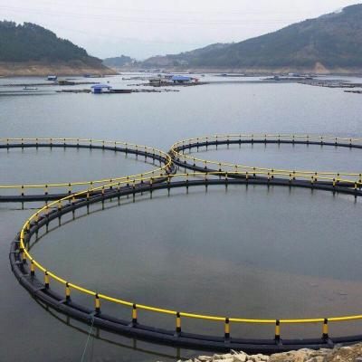 China Round HDPE Floating Fish Cage Anti Aging Commercial Aquaculture Net Cage for Freshwater Tilapia High Density Breeding for sale