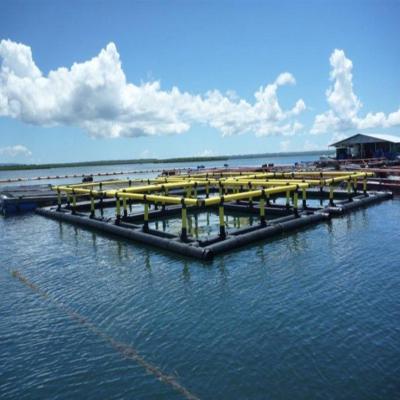 China Custom Square Anti-Wave Fish Cage Integrated Floating Frame Aquaculture Net Cage Durable HDPE Material for Tilapia and Freshwater Fish Culture for sale