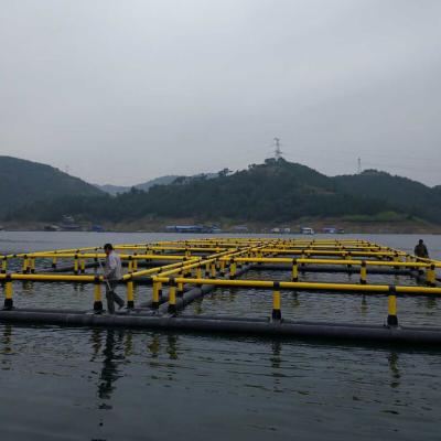 China Square HDPE Floating Fish Cage Commercial Aquaculture Net Cage for sale