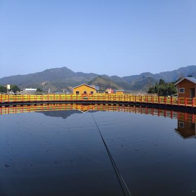 China Anti Slip Corrosion Resistant HDPE Floating Activity Platform Customizable for Water Entertainment for sale
