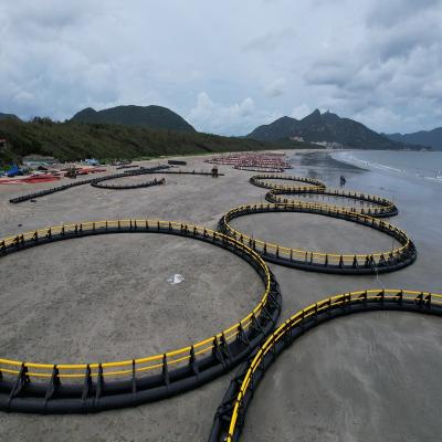 China Large Circular Net Cage Tilapia Farming Cage with Full Accessories for sale