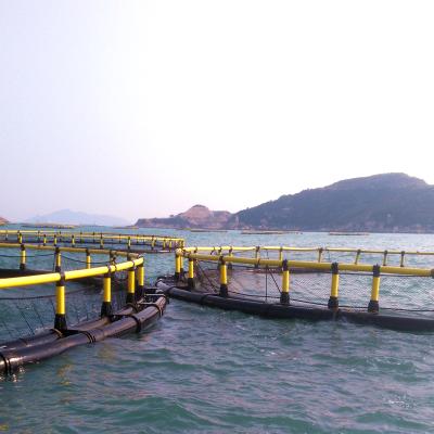 China Cost-Effective Simple Type Circular Fish Cage for Small & Medium Farms for sale