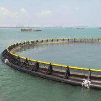 China Large Size HDPE Circular Fish Cage Complete Set 80m-300m Circumference Full Accessories for sale