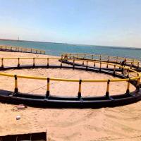 China Large Size HDPE Circular Fish Cage Complete Set 80m-300m Circumference Full Accessories for sale
