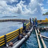 China HDPE Wind Wave Resistant Circular Floating Fish Cage 80m-300m Circumference 25 Year Lifespan for sale
