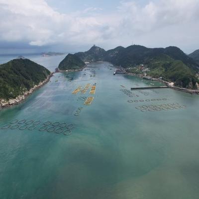 China Cost-effective Simple Circular Leisure Cage for Small Fish Farm for sale