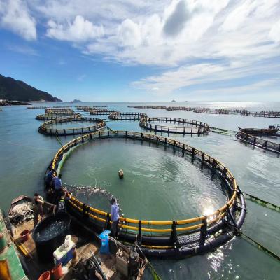 China Complete Set Round Fish Cage with Anchor System & Floating Collar for sale