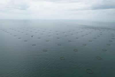 China Inland Water Fish Cages | Durable PE Net Cages for Africa & South America for sale