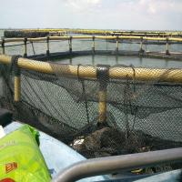 China Split-type Round Fish Cage | Replaceable Netting for Multi-purpose Use for sale