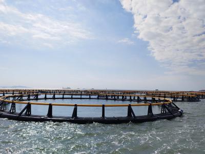 China modular fish cage, easy assemble aquaculture cage, detachable floating frame, export fish cage kit, quick install fish farming cage for sale