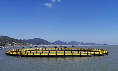 China 15m diameter fish cage,cuboid fish cage,rectangular fish cage,PE100 fish cage,fish cage frame,fish cage floating pipe,fish cage footboard,fish cage mooring system,complete fish cage system for sale