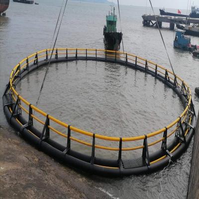China HDPE Circular Floating Fish Cage, Reinforced Complete Cage for Adult Fish Culture in Deep Water for sale