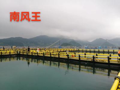 China Wind shifts your old cages & broken net lets fish escape? Heavy-duty buoy pipes fix your aquaculture loss risk. for sale