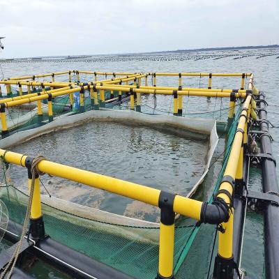 China Mini Square Fish Cage Shallow Pond Use, Simple Aquaculture Cage for Family Farmers for sale
