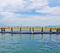 China 80m Circumference Entry-Level HDPE Fish Cage, Low Cost & High Return for sale