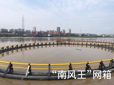 China Tired of frequent cage maintenance? Try long-service HDPE Fish Cage! for sale