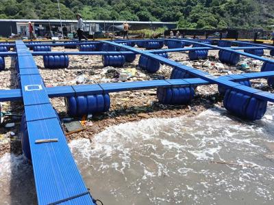China Anti-corrosion HDPE cage for vannamei shrimp, stocking density 12–16kg/m³, complete mooring set for global coastal shrimp farming. for sale