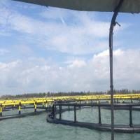 China Wind Resistant Circular Floating Cage With Full Set Mooring System for sale