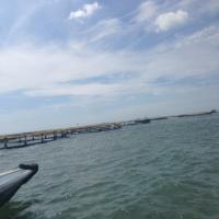 China Wind Resistant Circular Floating Cage With Full Set Mooring System for sale