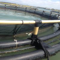 China Wind Resistant Circular Floating Cage With Full Set Mooring System for sale