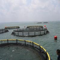 China Wind Resistant Circular Floating Cage With Full Set Mooring System for sale