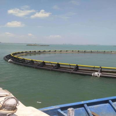 China Large-Volume HDPE Circular Fish Cage, Standard Equipment for Commercial Marine Fish Farm for sale