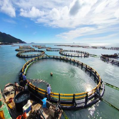 China Integrated Complete HDPE Circular Cage System with Netting & Mooring Package for sale
