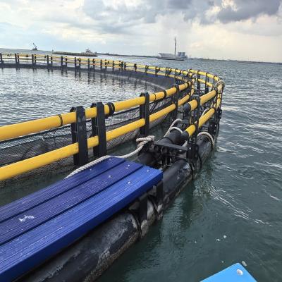 China Integrated Complete HDPE Circular Cage System with Netting & Mooring Package for sale