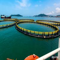 China Integrated Complete HDPE Circular Cage System with Netting & Mooring Package for sale