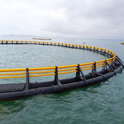 China Integrated Complete HDPE Circular Cage System with Netting & Mooring Package for sale