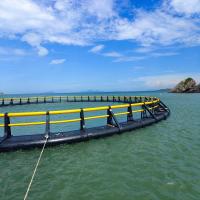 China Integrated Complete HDPE Circular Cage System with Netting & Mooring Package for sale