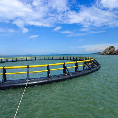 China Integrated Complete HDPE Circular Cage System with Netting & Mooring Package for sale