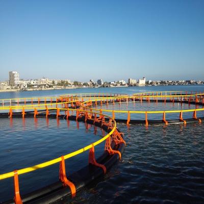 China Customized HDPE Fish Cage Full Solution | One-Stop Service from Survey to Installation for sale