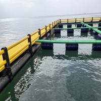 China Cost‑Effective Modular Combined Fish Raft Cage for sale