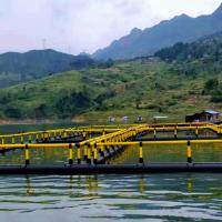 China Modular Combinable Fish Raft for Small-Scale Aquaculture Beginners for sale