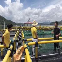 China 2×2 Compartment Combined Rectangular HDPE Fish Raft Cage for sale