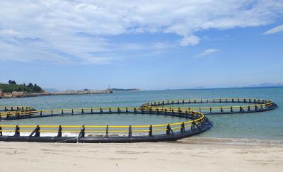 China From Premium HDPE Fish Cage to Premium Market Price: Boost Your Ghana Fish Farm for sale