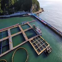 China Square Floating Freshwater Fish Cage for sale