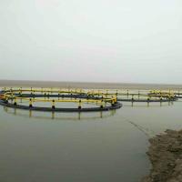 China Submersible Typhoon-Resistant Fish Cage for sale