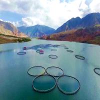 China Submersible Typhoon-Resistant Fish Cage for sale