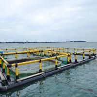 China Square Floating Freshwater Integrated Fish Cage for sale