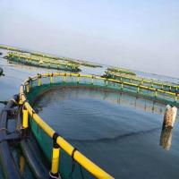 China Multifunctional Customizable Aquaculture Fish Cage for sale