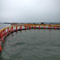 China Modular Customizable HDPE Complete‑Set Fish Farming Cage for sale